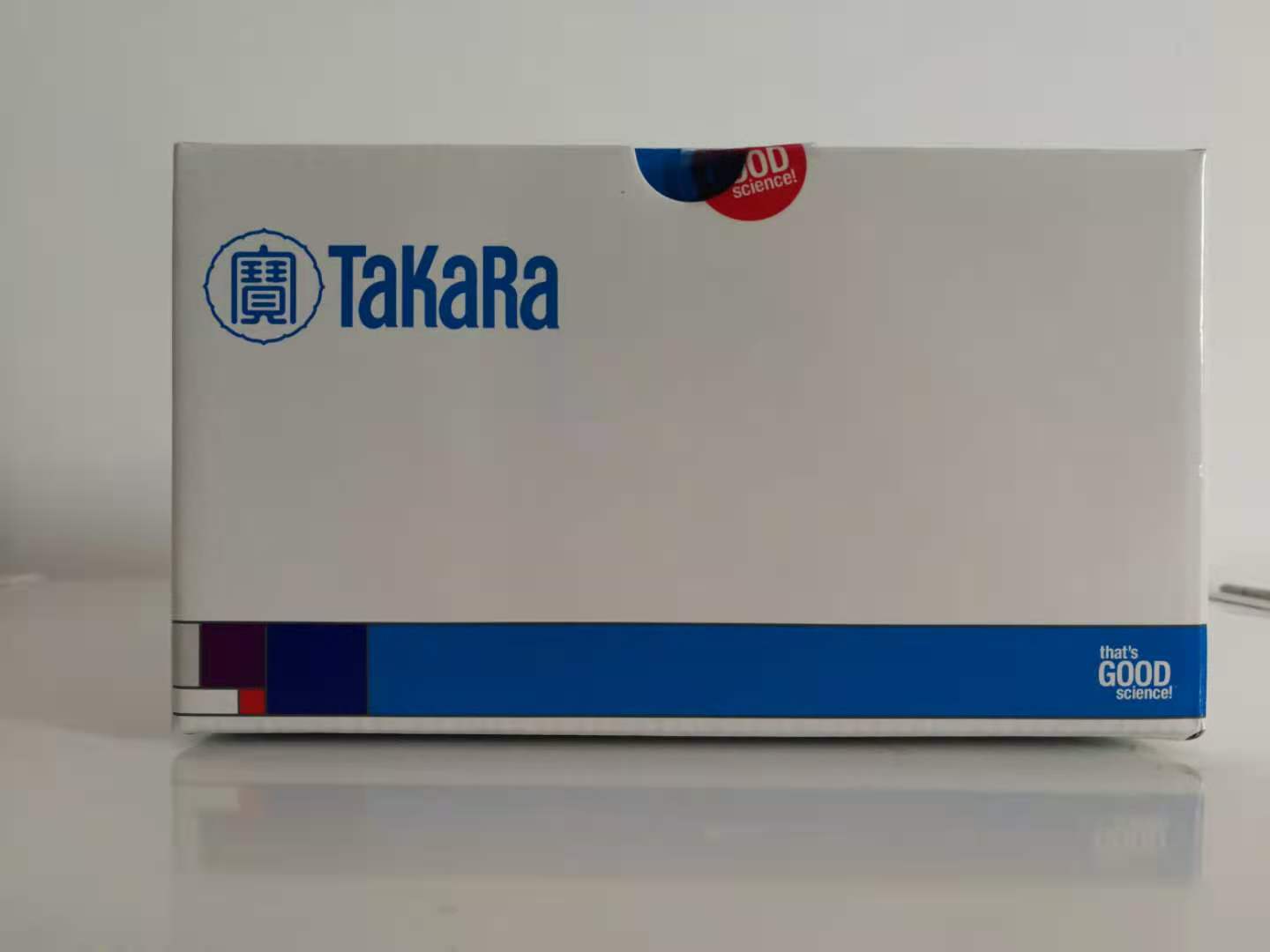 DL500 DNA Marker
