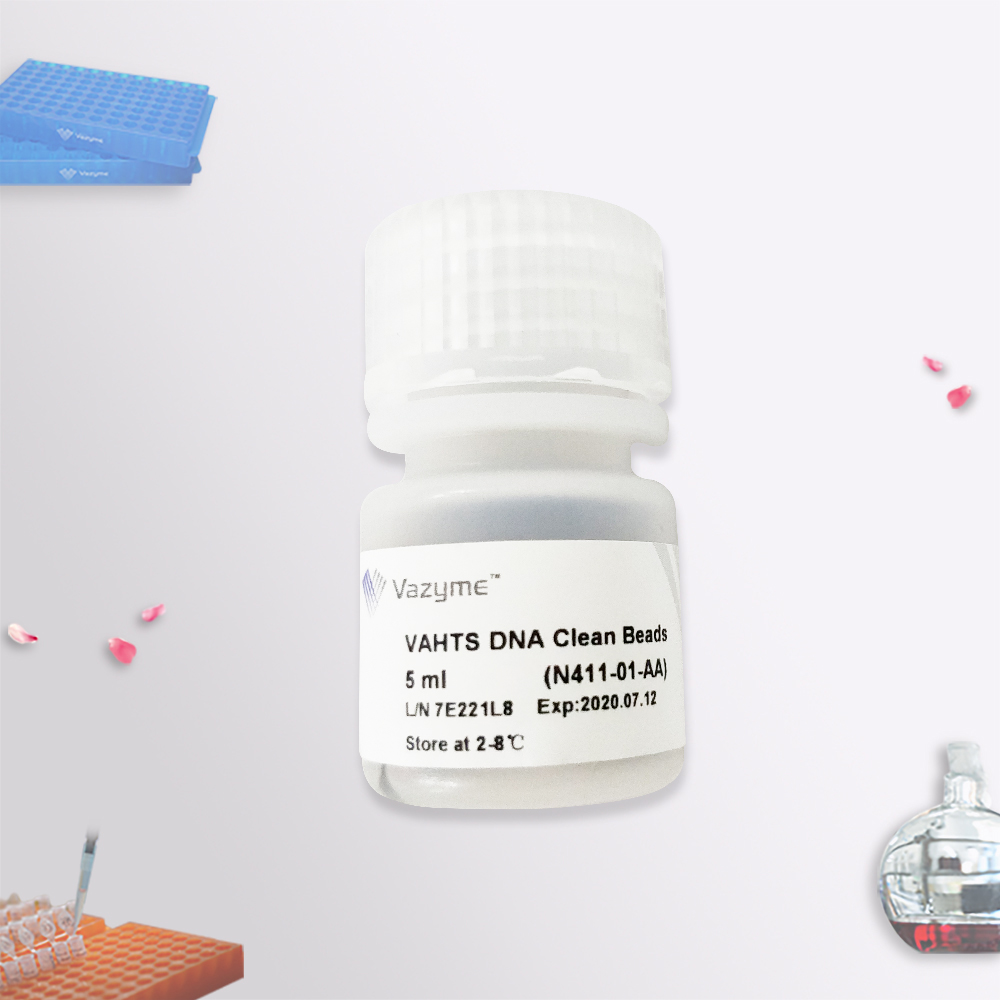 VAHTSTM DNA Clean Beads