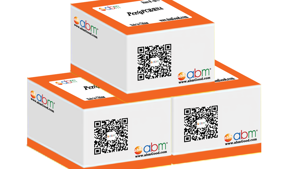 All-In-One 5X RT MasterMix