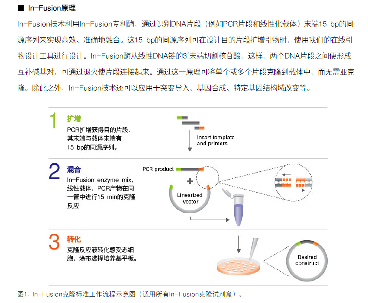 In-Fusion Snap Assembly Master Mix