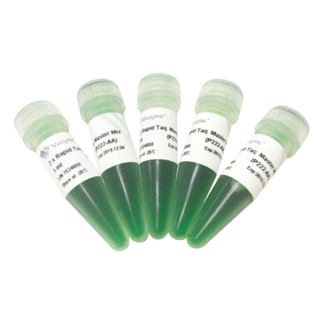 2 × Rapid Taq Master Mix