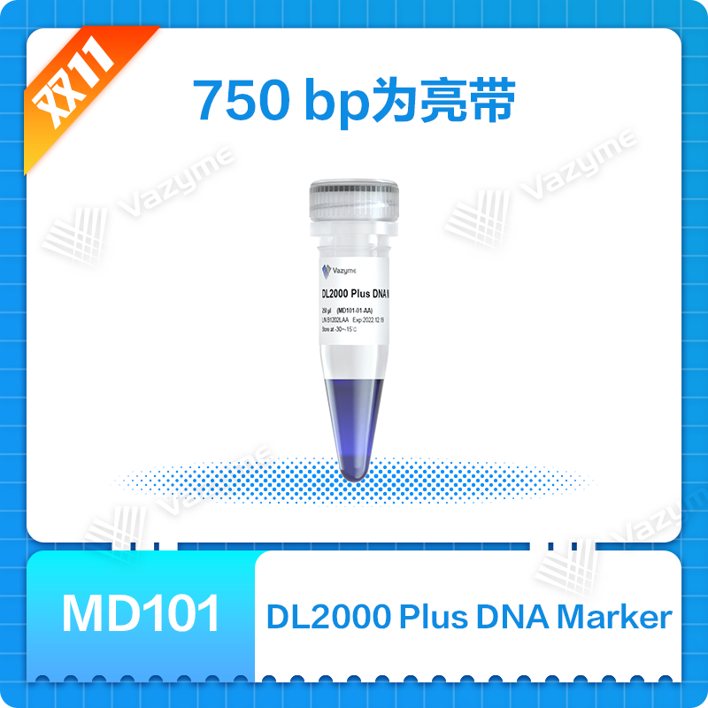 DL2000 Plus DNA Marker